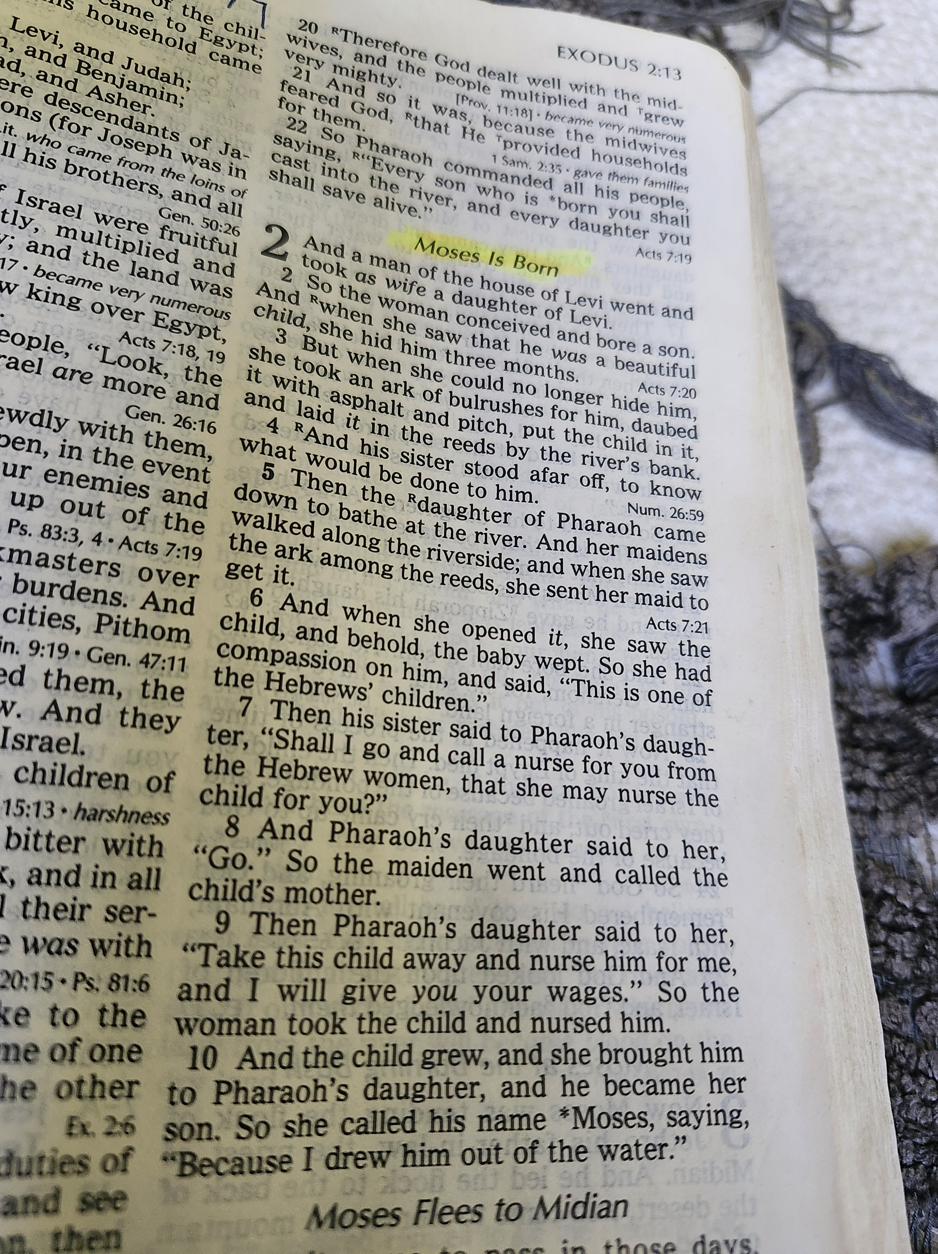 Scripture for 1.11.2026 – Exploring God's Library