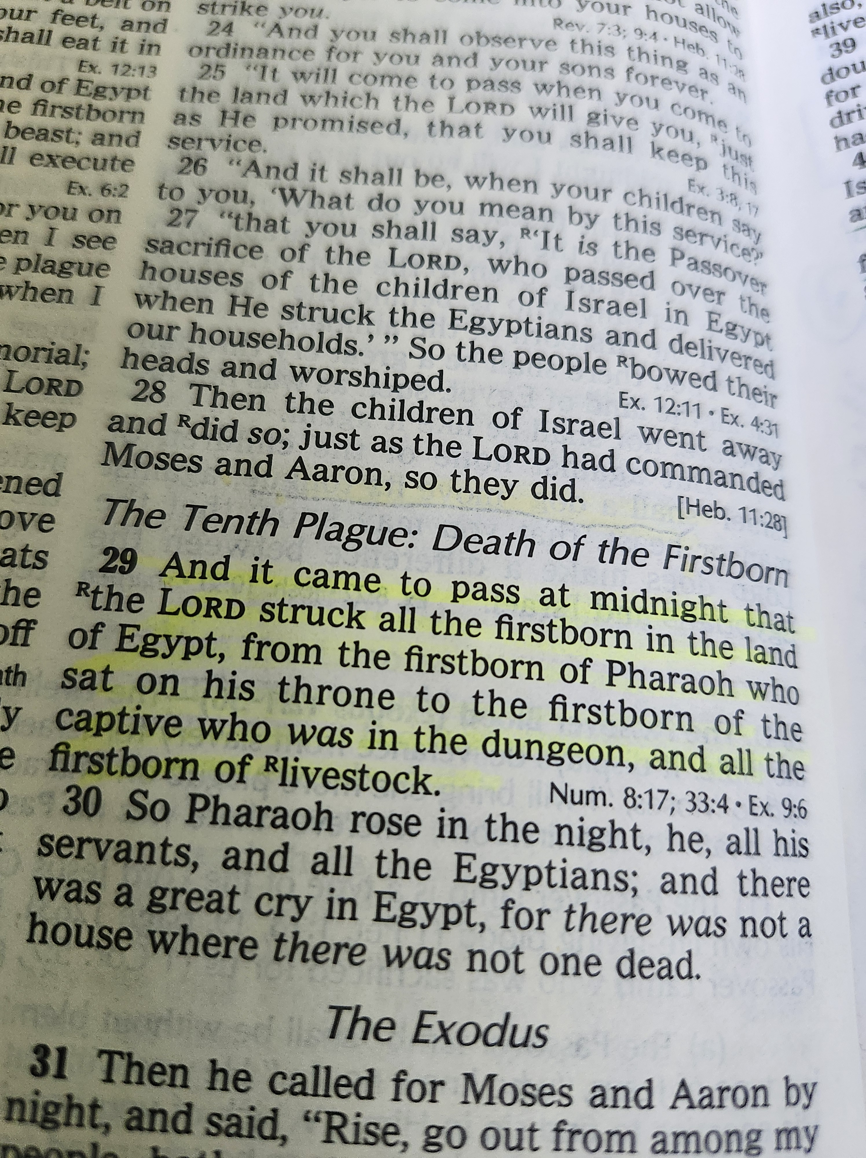 Scripture for 1.28.2026 – Exploring God's Library